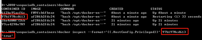 docker 13: Permission denied 问题解决方法_docker 报错os errno 13 - permission denied)-CSDN博客