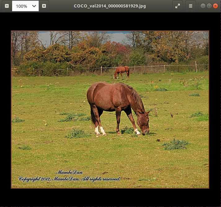 使用coco数据集训练自己的yolo3网络_yolov3采用的是 coco 数据集微调的训练策略-CSDN博客