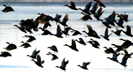 粒子群优化算法解决TSP问题及Matlab代码-CSDN博客