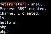 漏洞利用六：Linux系统漏洞利用-CSDN博客