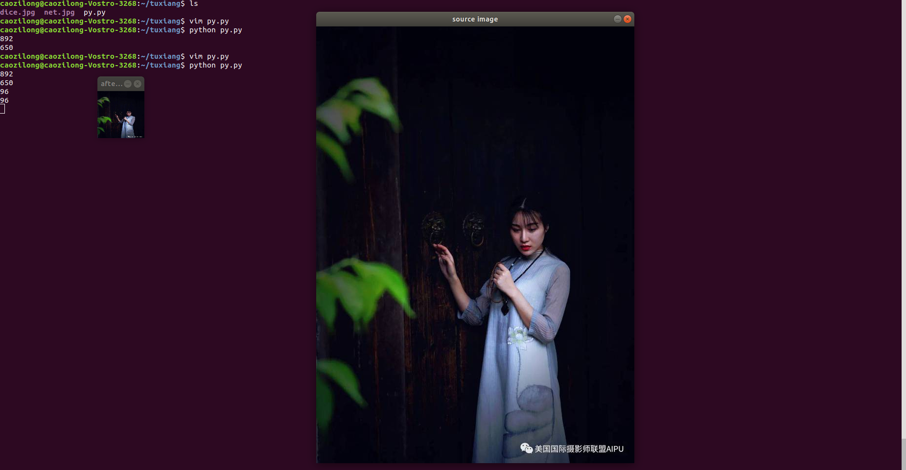 用最近邻插值(Nearest Neighbor interpolation)进行图片缩放_papaofdoudou的博客-CSDN博客_最近邻差值