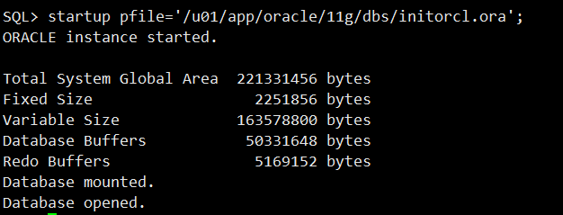 oracle数据库初始化参数配置错误无法启动故障解决_oracle创建系统表 初始系统参数失败-CSDN博客
