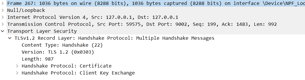 HTTPS|SSL笔记-SSL双向认证成功握手过程（含wireshark分析）_ssl握手过程-CSDN博客