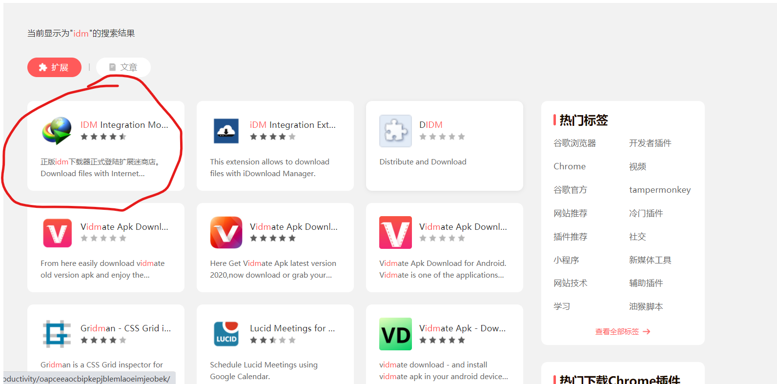 使用IDM的正确姿势_idm怎么用-CSDN博客