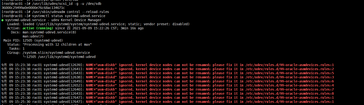 REDHAT7.6 udev绑定时候报错_udev软件 redhat7.6-CSDN博客