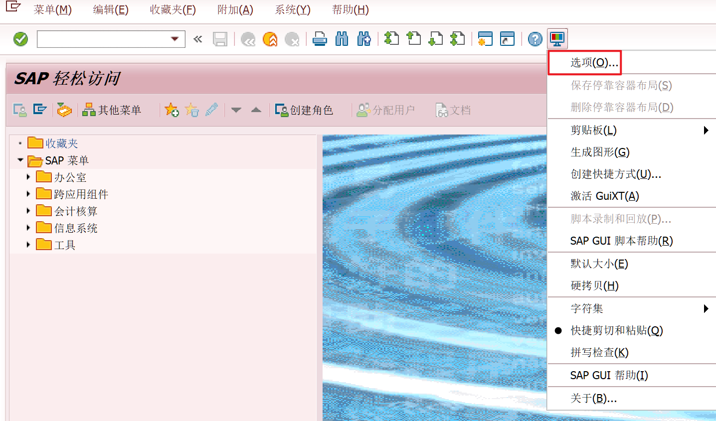 SAP GUI使用小技巧:主题、颜色更换，让工作多点色彩_sap界面颜色更改-CSDN博客