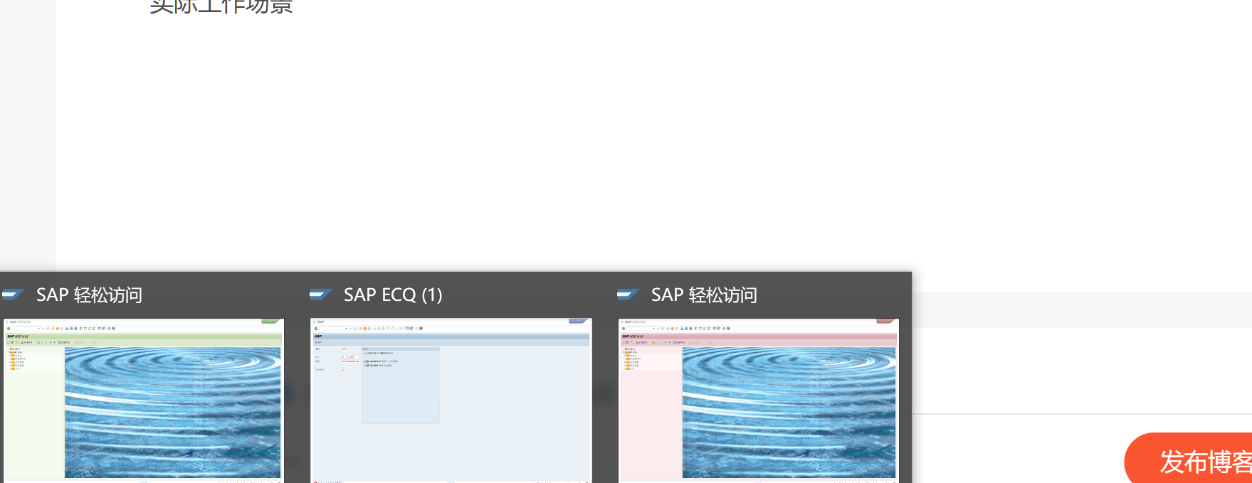 SAP GUI使用小技巧:主题、颜色更换，让工作多点色彩_sap界面颜色更改-CSDN博客