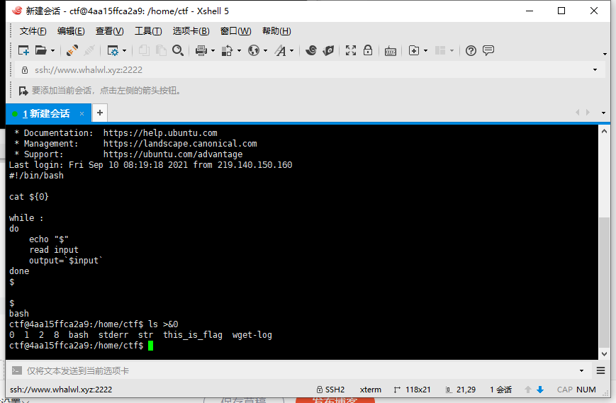 安鸾渗透CTF训练之bash_ctf bash-CSDN博客