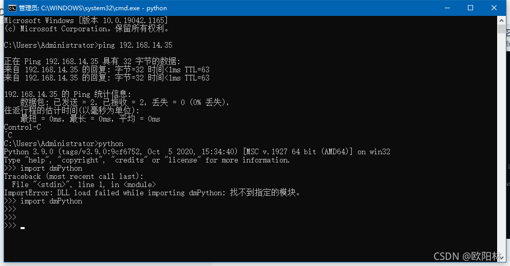 Python安装达梦数据环境(基于windows10python39)dmpython下载 Csdn博客 6213