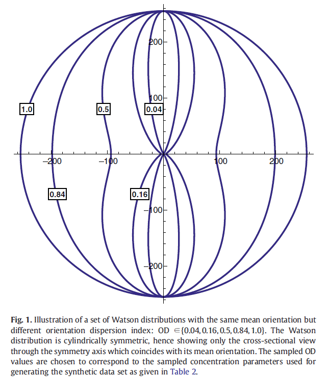DWI高级弥散模型：NODDI简介-CSDN博客