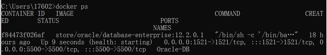 Windows系统使用Docker搭建Oracle Database Enterprise Edition并连接至Oracle SQL Developer_windows docker安装 ...