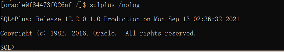 Windows系统使用Docker搭建Oracle Database Enterprise Edition并连接至Oracle SQL Developer_windows docker安装 ...