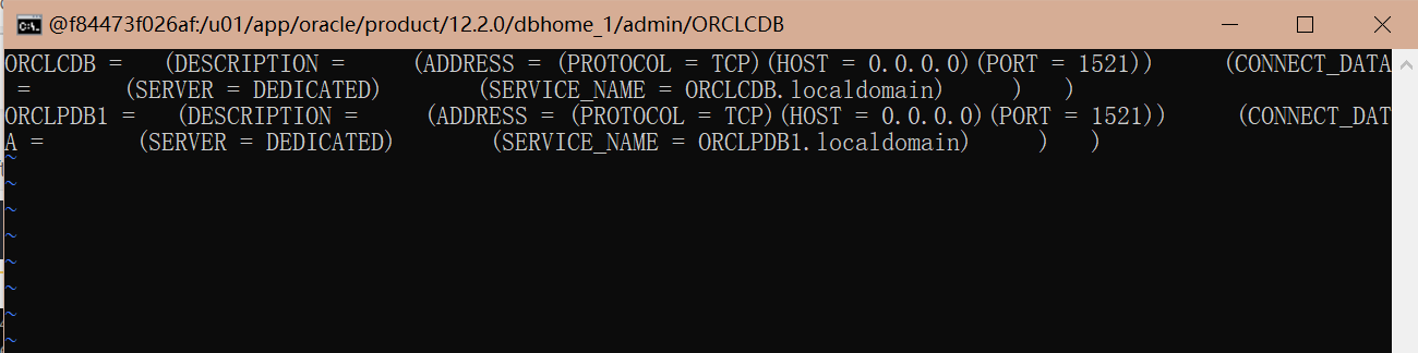 Windows系统使用Docker搭建Oracle Database Enterprise Edition并连接至Oracle SQL Developer_windows docker安装 ...