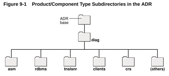 DIAGNOSTIC_DEST(诊断日志路径)_oracle diag目录路径-CSDN博客