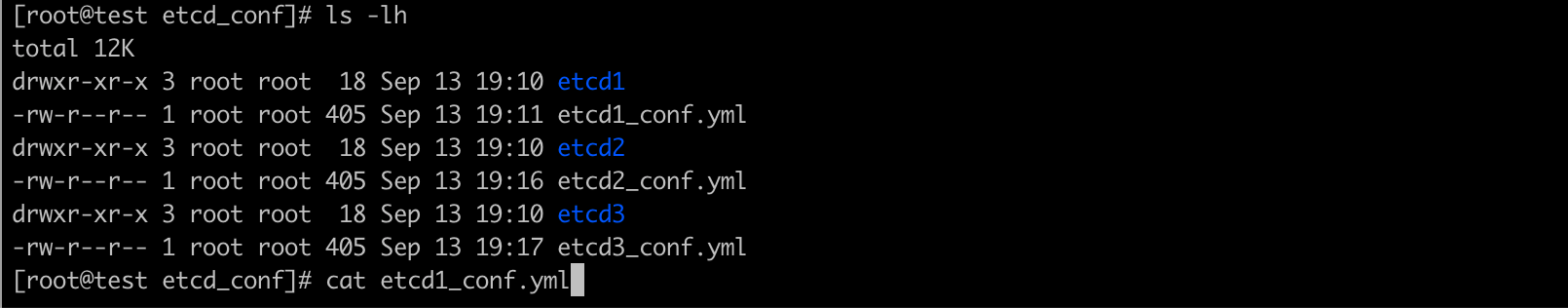 单个虚拟机部署三个etcd实例/一个ectd实例_etcd --config-file-CSDN博客