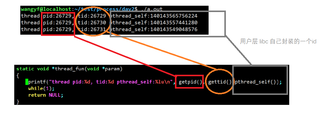 进程线程(二) fork、vfork、clone，写时拷贝(cow技术)_线程是 fork还是vfork-CSDN博客