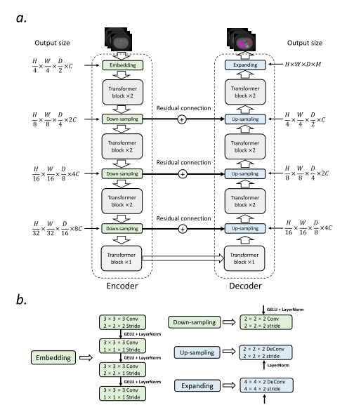 nnFormer阅读笔记-CSDN博客