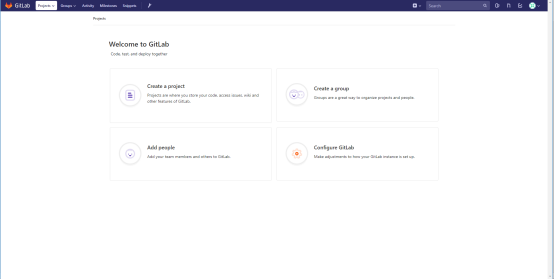 Java Development: Gitlab server construction - Programmer Sought