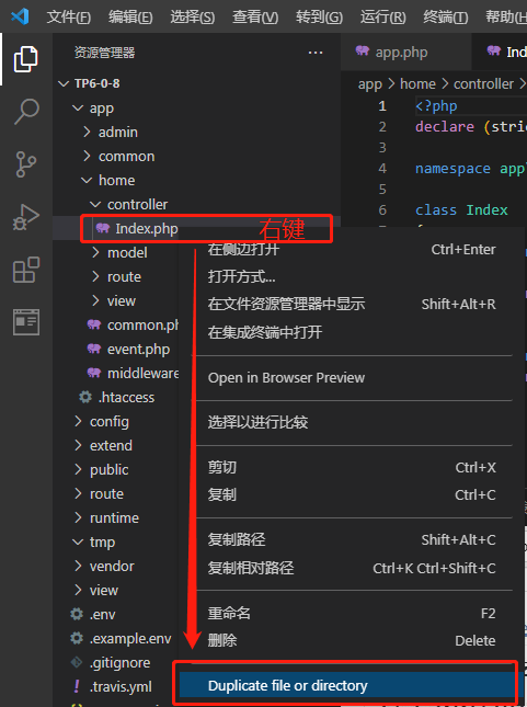 VScode原地复制文件 - duplicate files_vscode duplicate-CSDN博客