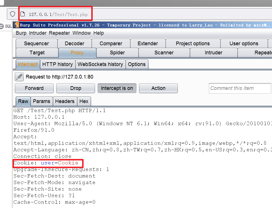 XSS平台的使用_xss平台使用-CSDN博客