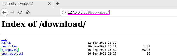 Openresty(十九)使用upload上传文件_openresty上传文件大小限制-CSDN博客