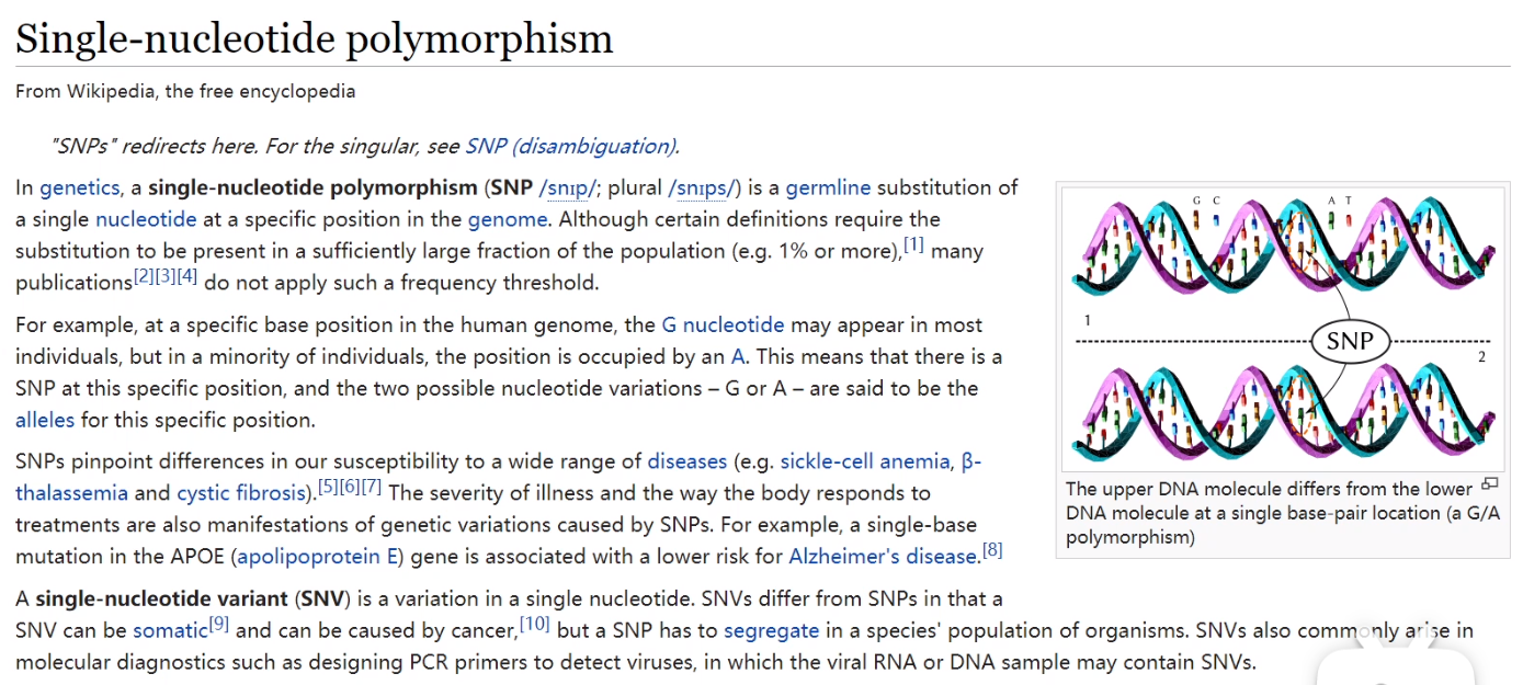 Single Nucleotide Polymorphism(SNP)的维基百科阅读笔记_为什么snps不包含-CSDN博客