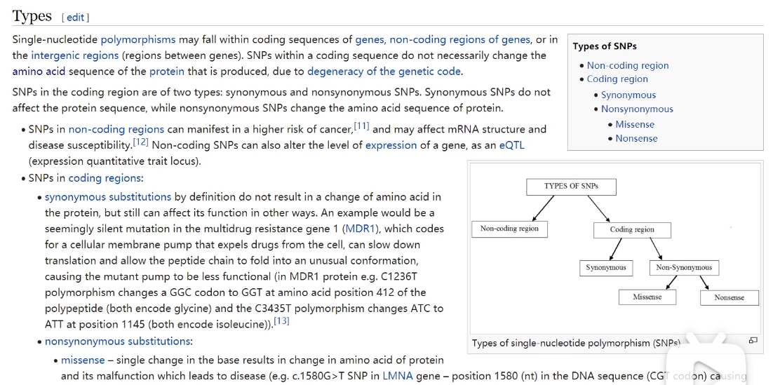 Single Nucleotide Polymorphism(SNP)的维基百科阅读笔记_为什么snps不包含-CSDN博客