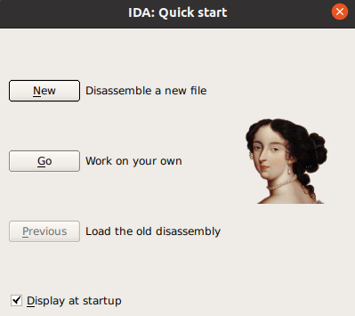 IDA PRO不会用笔记_ida free-CSDN博客