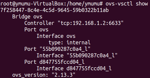 Docker+Ovs构建SDN网络_ovs-docker-CSDN博客