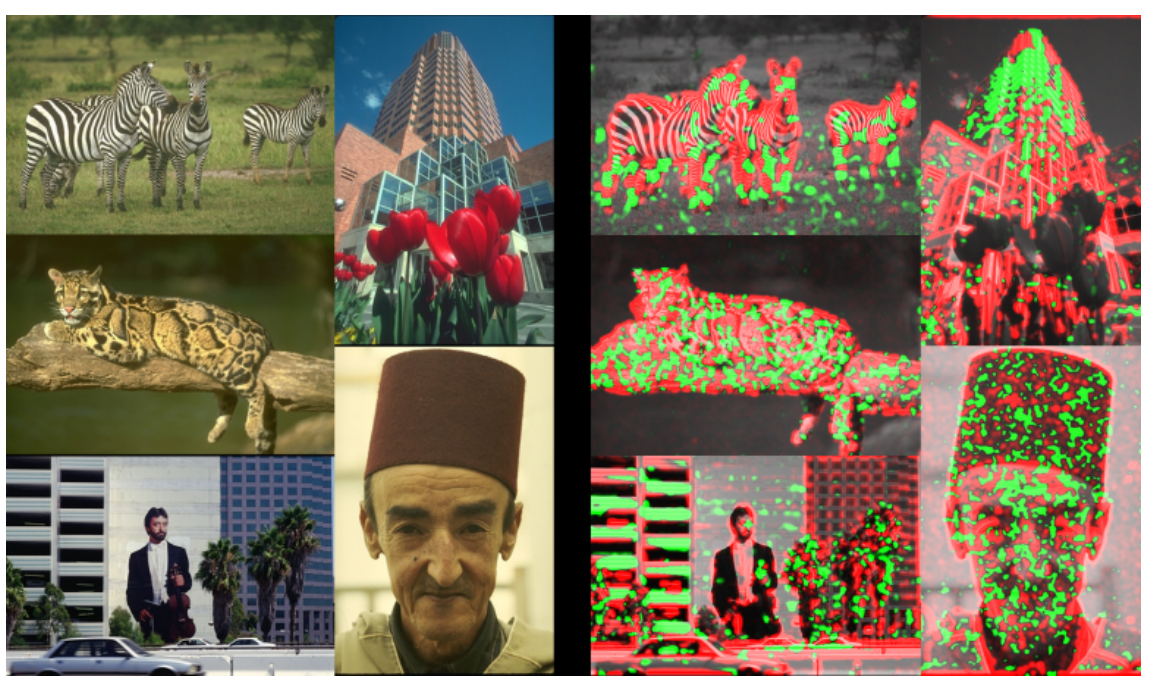 （ZSSR）CVPR-2018：“Zero-Shot” Super-Resolution using Deep Internal Learning-CSDN博客