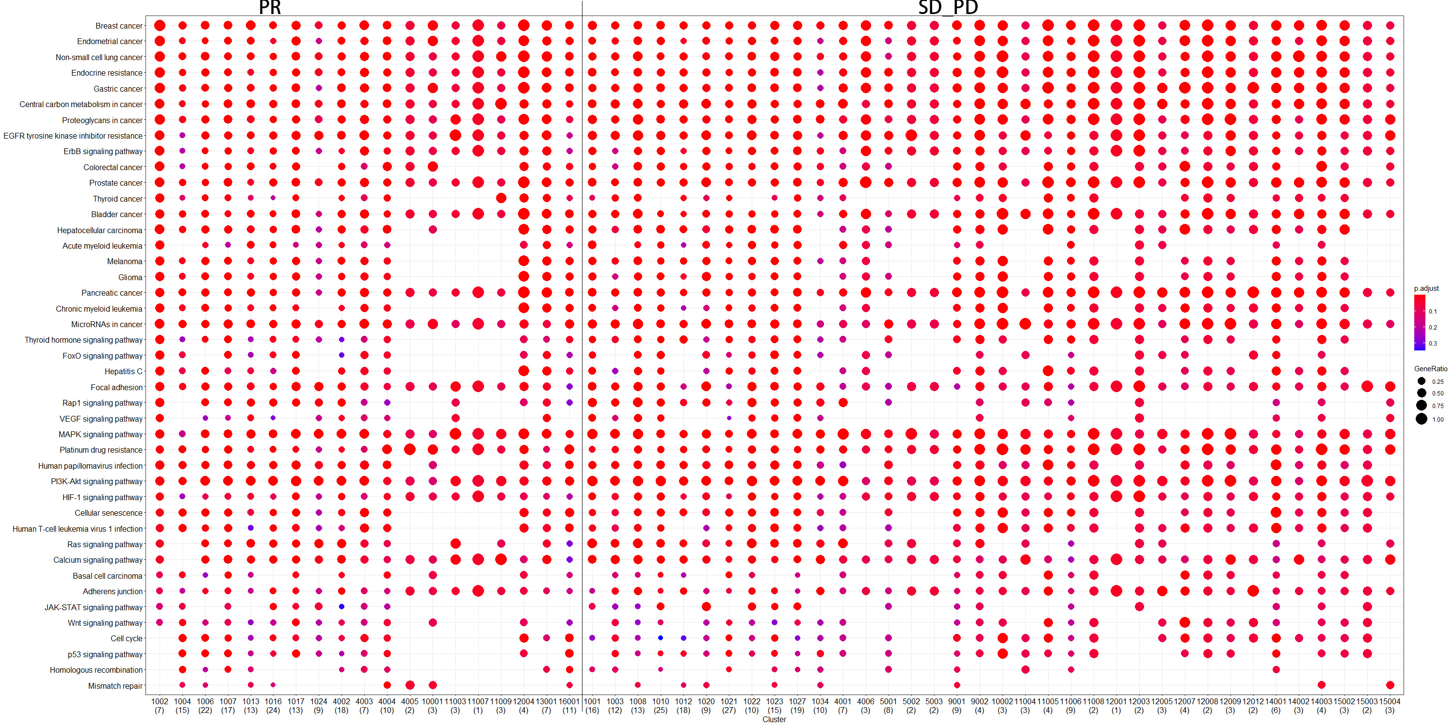批量富集分析气泡图的画法_comparecluster-CSDN博客