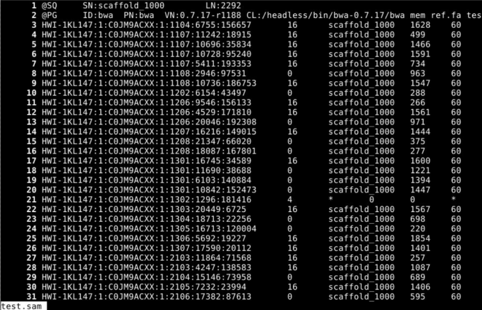 短序列比对及可视化-CSDN博客