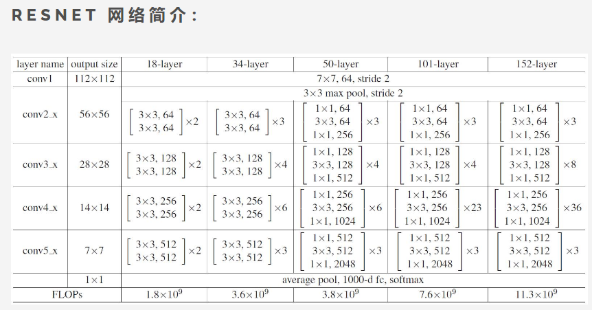 为何pytorch预训练的resnet模型对输入图片的大小无要求？_resnet18输入图片尺寸-CSDN博客