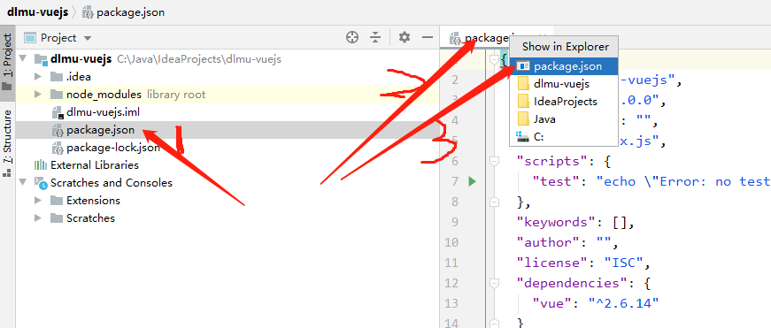 IDEA中如何使用npm安装vue.js模块_idea npm-CSDN博客