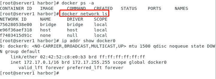 如何创建Docker中的网络_docker network create-CSDN博客