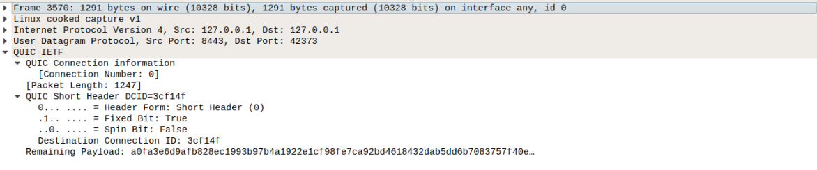 Wireshark对QUIC包的抓包和解密_wireshark quic-CSDN博客