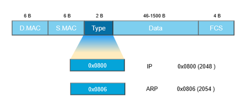 初识Ethernet II帧格式_ethernet ii帧结构-CSDN博客