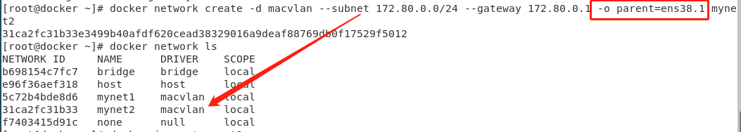 如何创建Docker中的网络_docker network create-CSDN博客