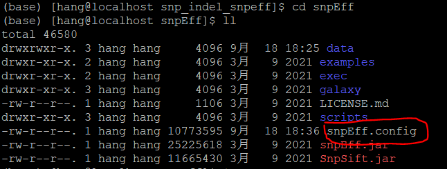 GWAS数据分析流程—SNP、Indel注释_gwascatalog的数据打开后没看到snp怎么处理-CSDN博客