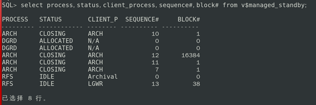 Data Guard (DGMGRL常用命令)_show database verbose-CSDN博客