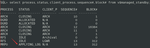 Data Guard (DGMGRL常用命令)_show database verbose-CSDN博客