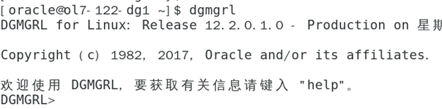 Data Guard (DGMGRL常用命令)_show database verbose-CSDN博客