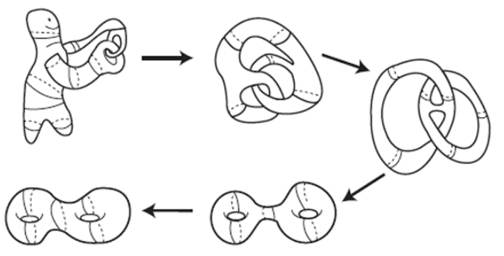 Topological Data Analysis（TDA) 拓扑数据分析与mapper算法-CSDN博客