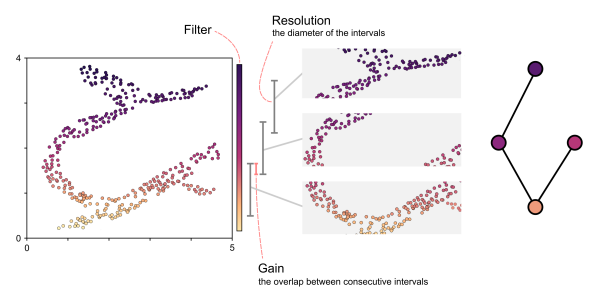Topological Data Analysis（TDA) 拓扑数据分析与mapper算法-CSDN博客