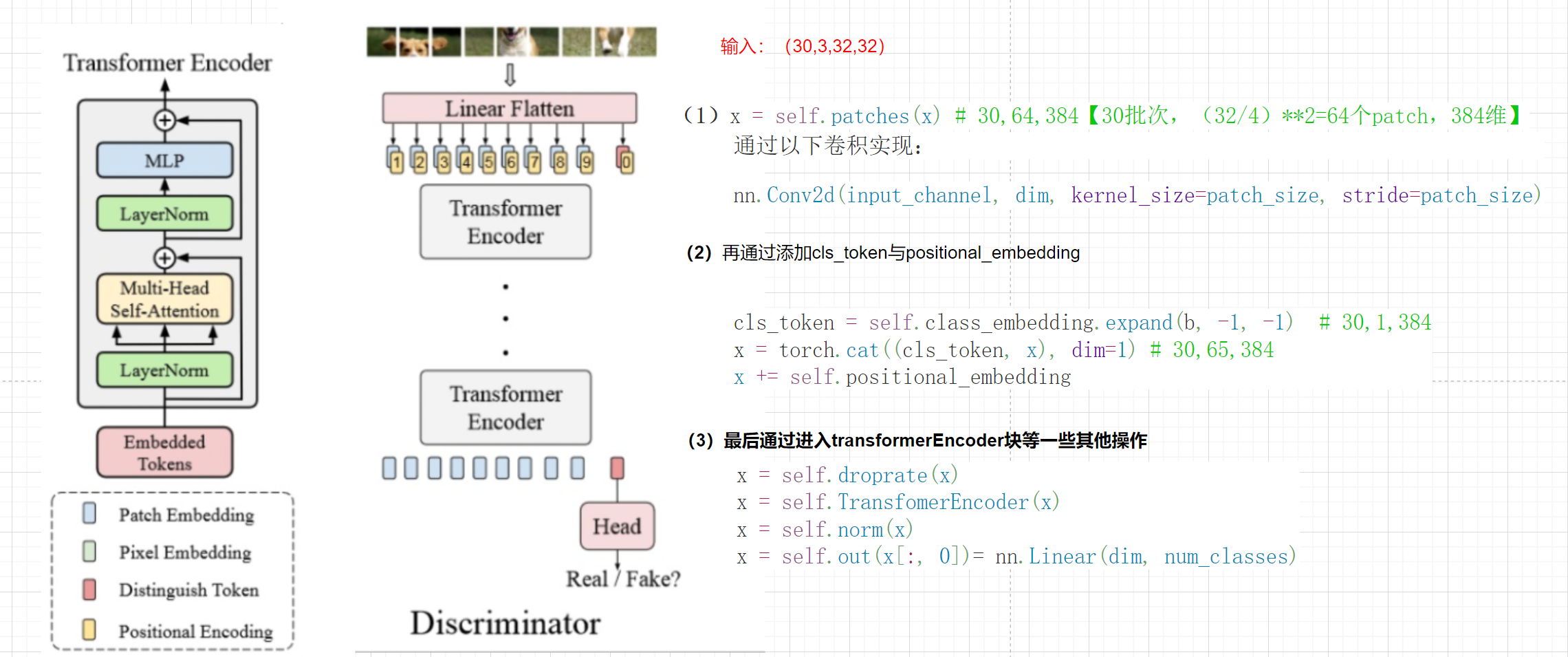 【Transformer】TransGAN的鉴别器的理解_gan transformer 鉴别齐-CSDN博客