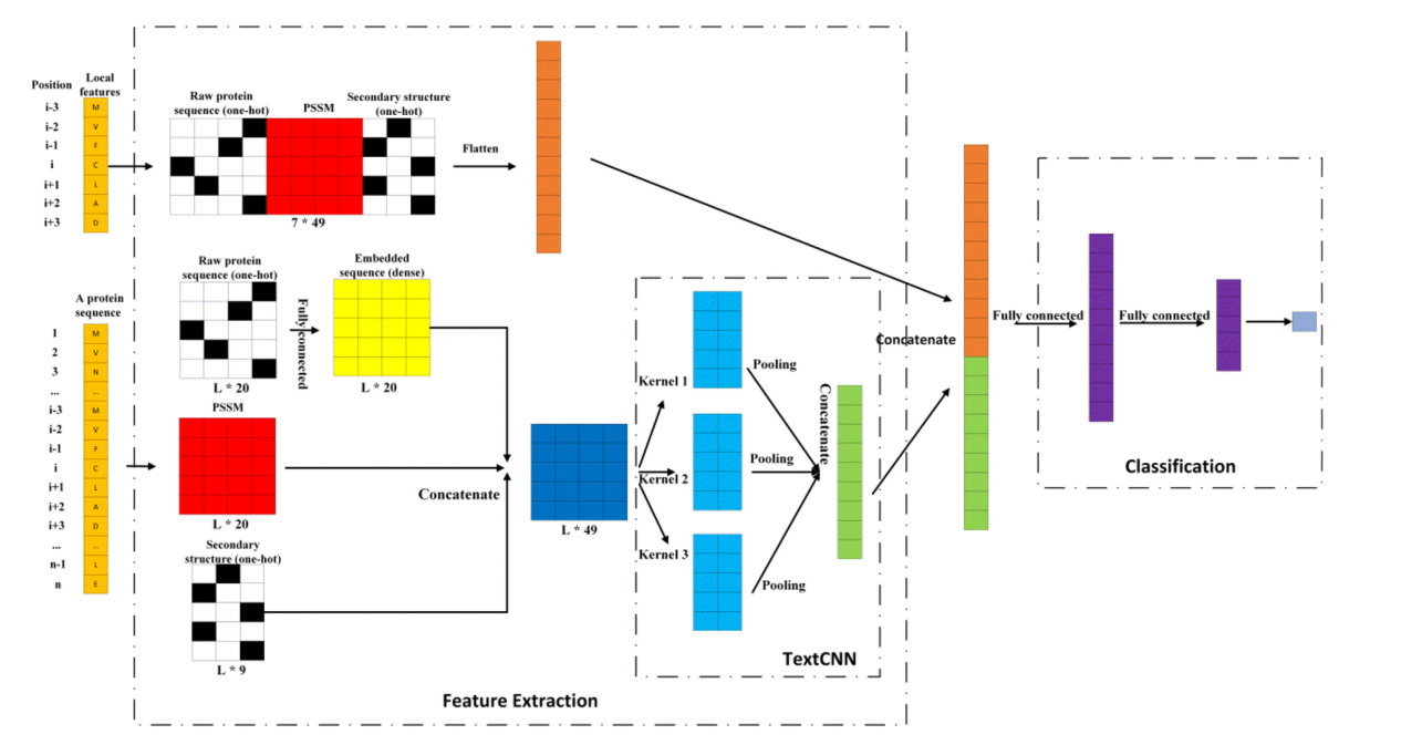 Protein-protein interaction site prediction through combining local and global features 文章梳理 ...