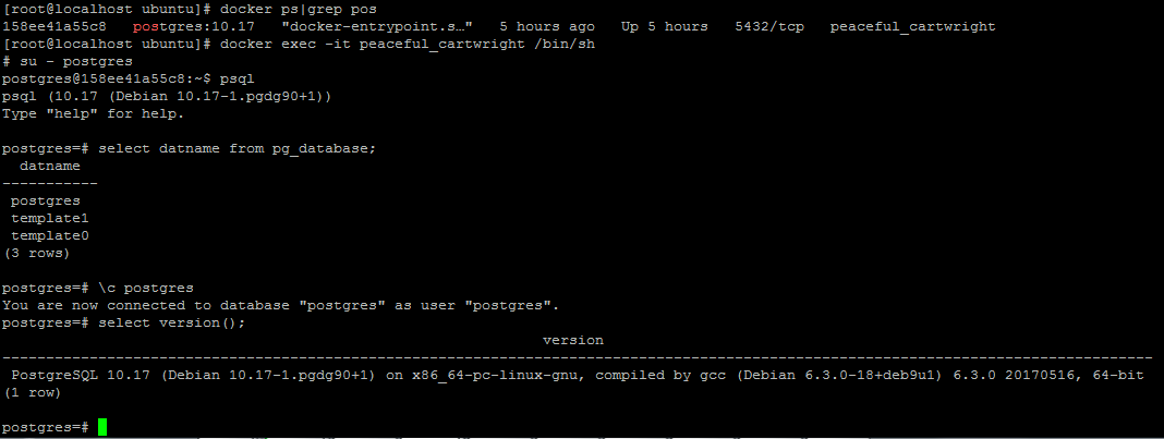 PostgreSQL-从宿主服务器进入pg docker容器维护数据库的方法_postgresql登录容器 进入数据库-CSDN博客