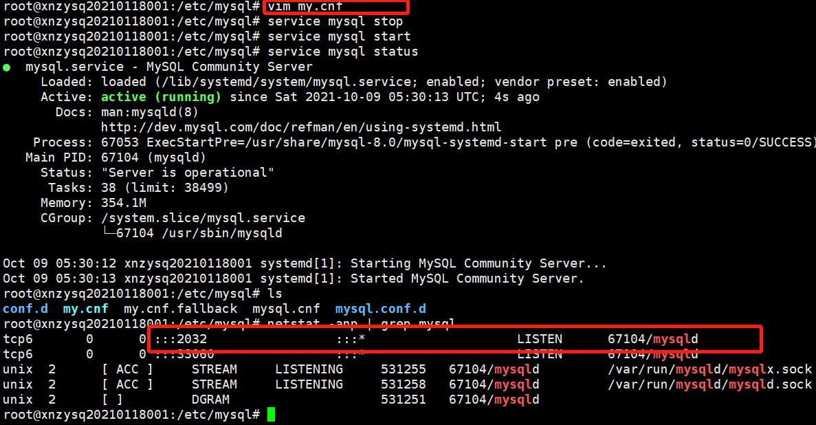 Linux下JAVA WEB服务器的搭建一（JDK\MYSQL\TOMCAT）_linux 中 开发 java web 服务器-CSDN博客
