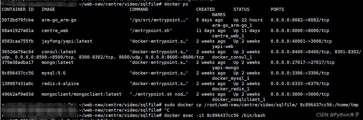 在docker的mysql容器内执行sql文件mysql容器运行sql文件命令 Csdn博客
