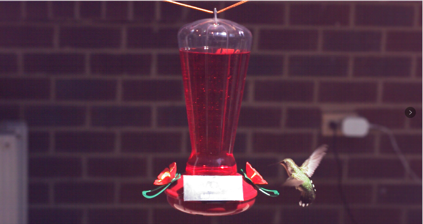 ISP调试中的一些问题现象（持续更新）_crosstalk和false color-CSDN博客